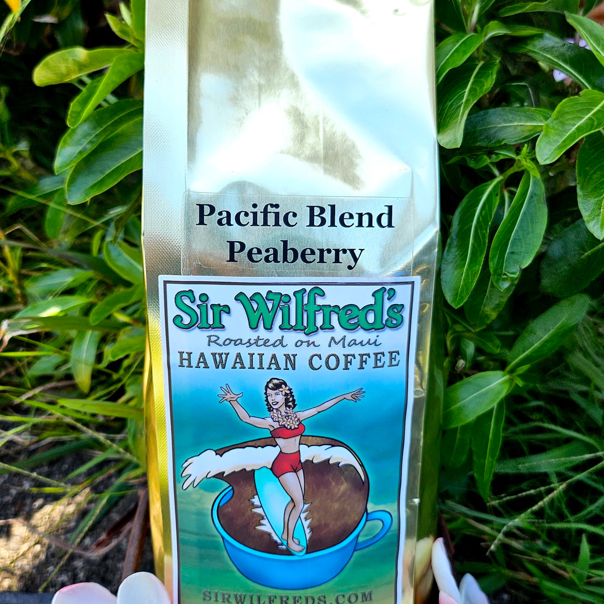 Pacific Blend Peaberry – Sir Wilfred's Coffee of Maui