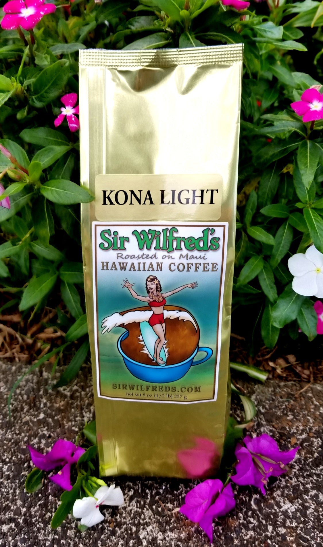 Kona Light Roast (contact us for availability) – Sir Wilfred's Coffee ...